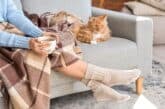 27 Things You Need to Know Before Getting a Cat