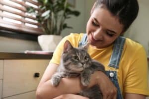 Why Do Cats Prefer One Person Over Another? - Senior Cat Wellness