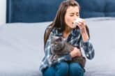 Why Am I Allergic to Some Cats and Not Others? — Senior Cat Wellness
