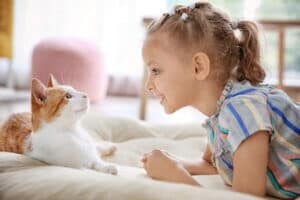 How Cats Manipulate Humans - Senior Cat Wellness