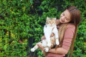 Do Domestic Cats Have A Hierarchy with Humans?